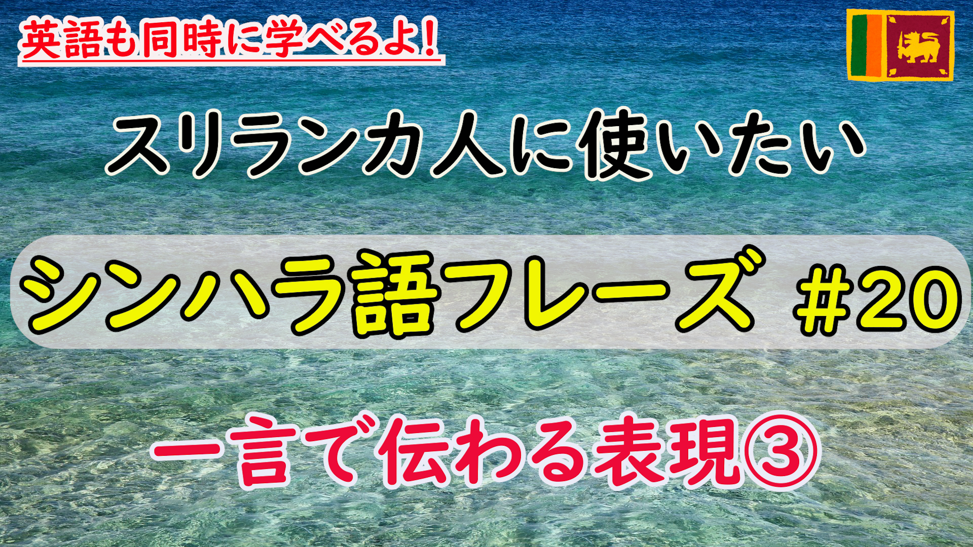 ダーリンはスリランカ人 | シンハラ語フレーズ #20 「一言で伝わる表現③」【英語も同時に学べる】